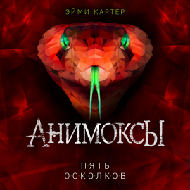Пять Осколков Hörbuch Download | Audioteka