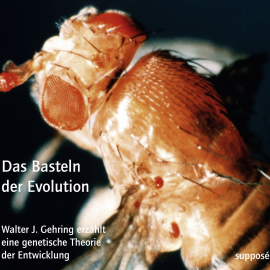 Das Basteln der Evolution Hörbuch Download | Audioteka